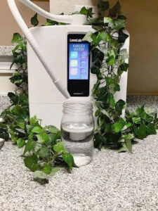 Seattle Love Broker - Professional Matchmaker and Dating Service